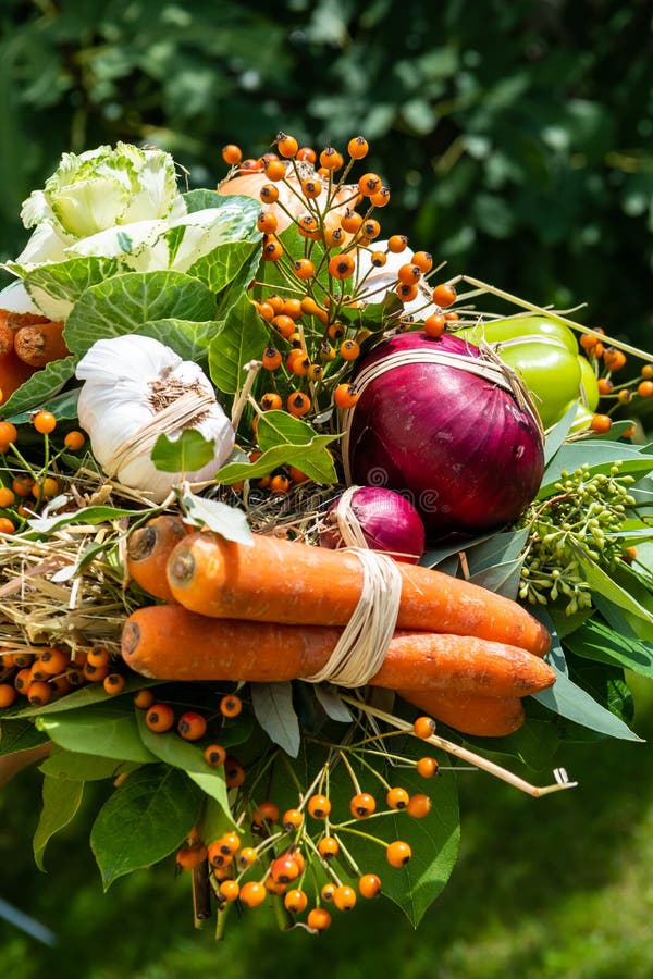 Bunch of Freshly Harvested Assorted Vegetable Stock Photo - Image of ...