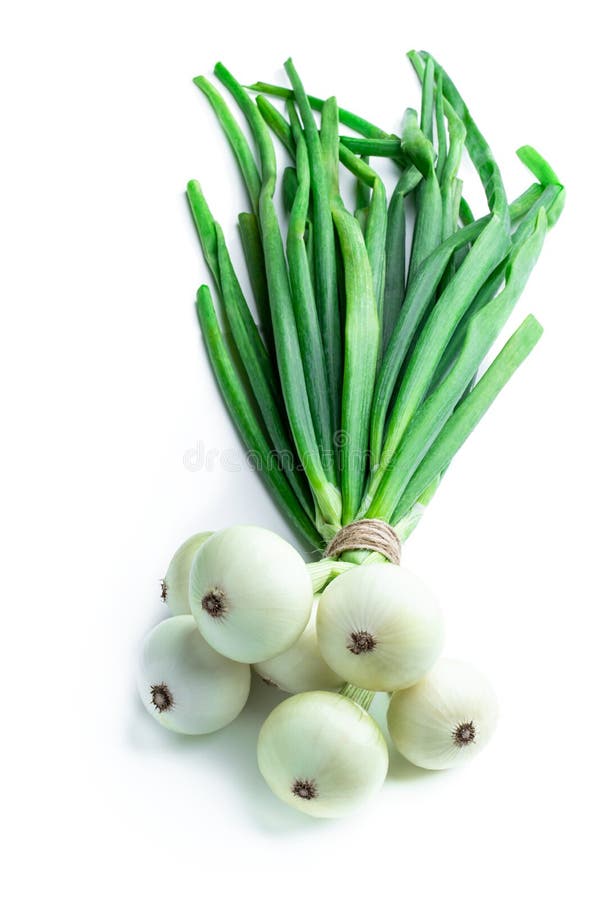 Bunch of Freshly Harvested Onions Isolated on White Stock Image - Image ...