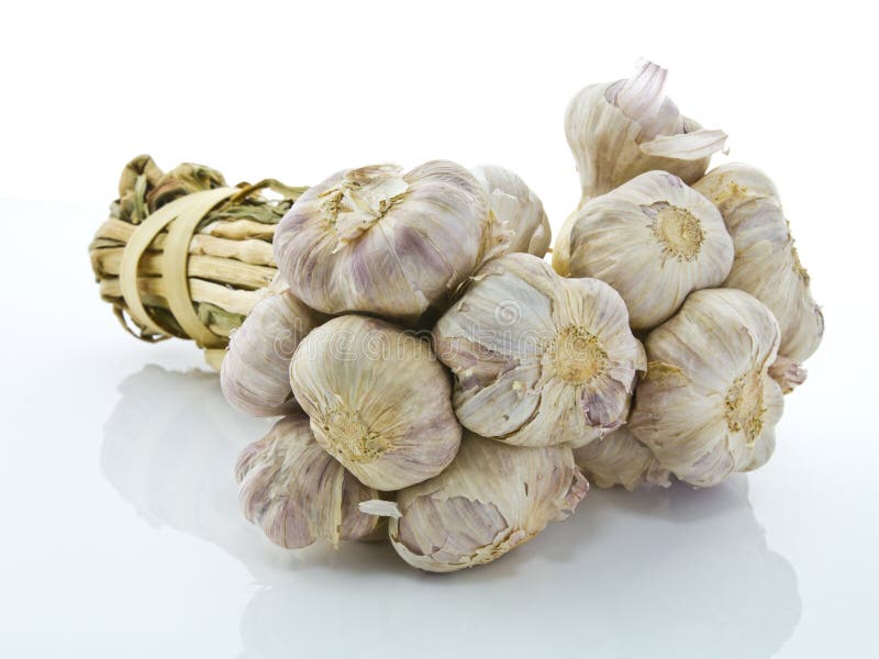 Bunch of garlic stock image. Image of herb, natural, healthy - 18802837