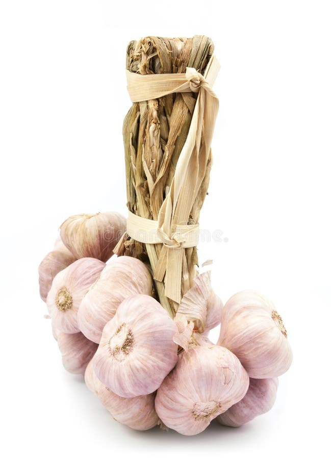 Bunch of garlic isolated stock photo. Image of group - 85355018