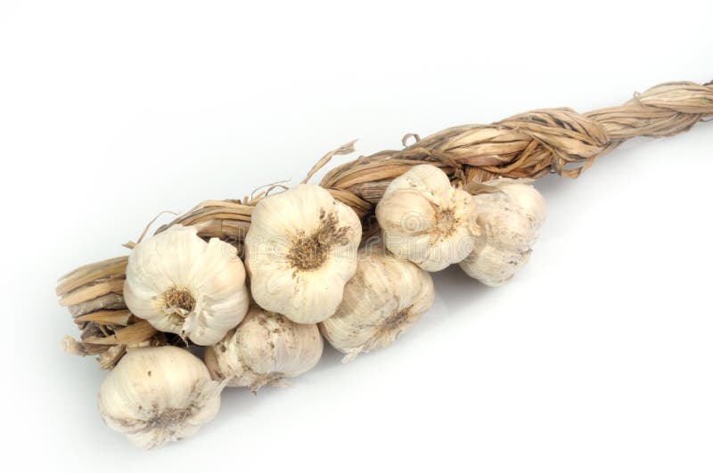 Bunch of garlic stock image. Image of produce, nutrition - 74092439