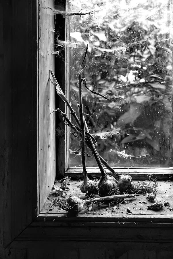 Rustic Still Life with Garlic Stock Photo - Image of country, european ...