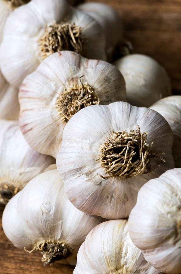 Bunch of garlic stock photo. Image of black, garlic, bunch - 62939230