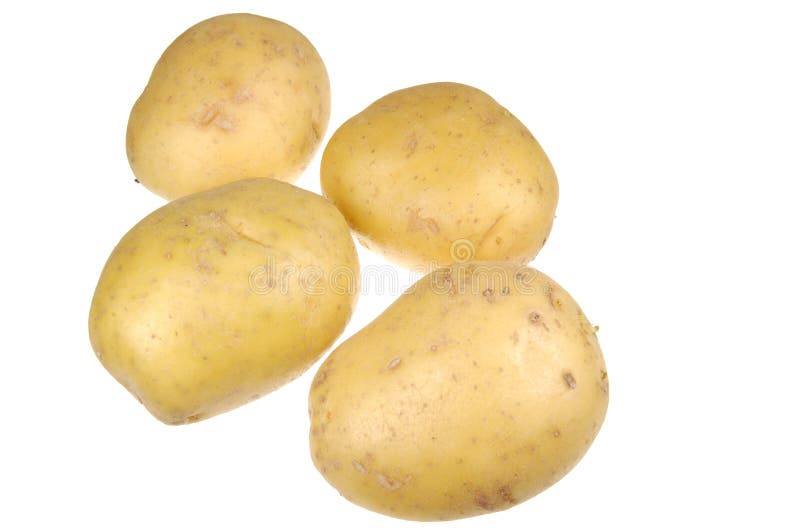 Bunch of Golden Potatoes stock photo. Image of vegetarian - 20305234