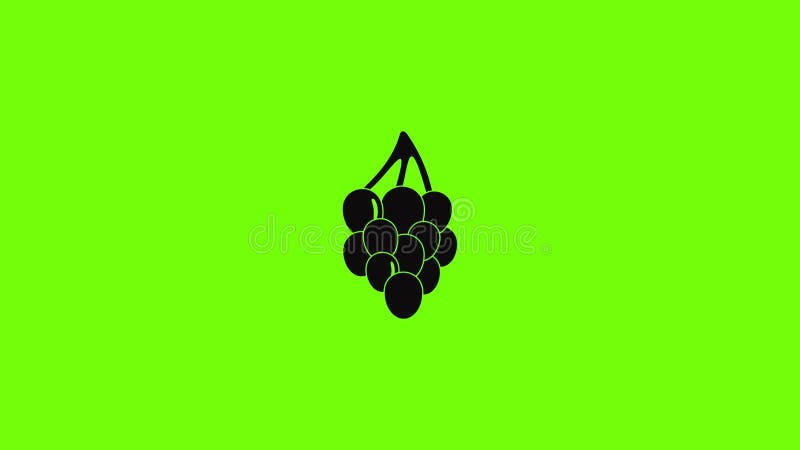 Bunch grape icon animation stock footage. Video of harvest - 224914914