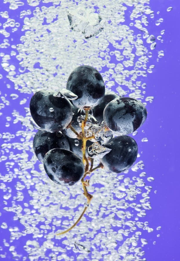 Bunch of Grapes Floating in Water with Air Bubbles Stock Image - Image ...
