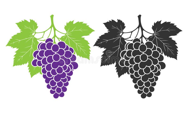 A Bunch of Grapes Fruit with Leaves Color Silhouette Vector ...