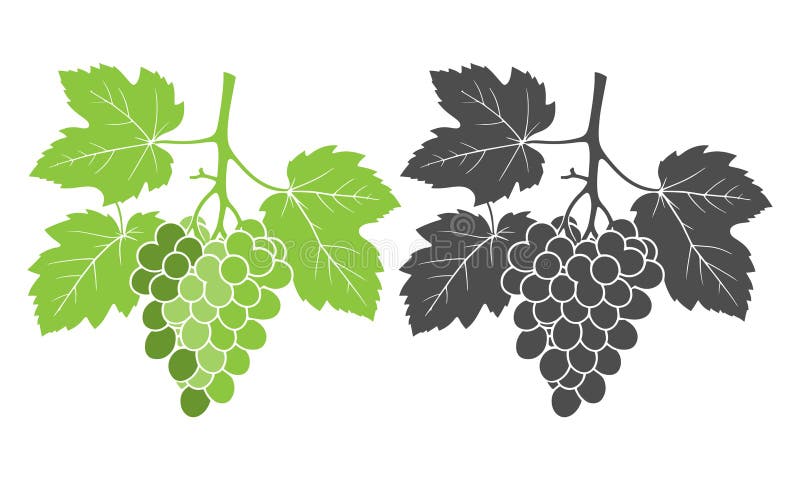 A Bunch of Grapes Fruit with Leaves Color Silhouette Vector ...
