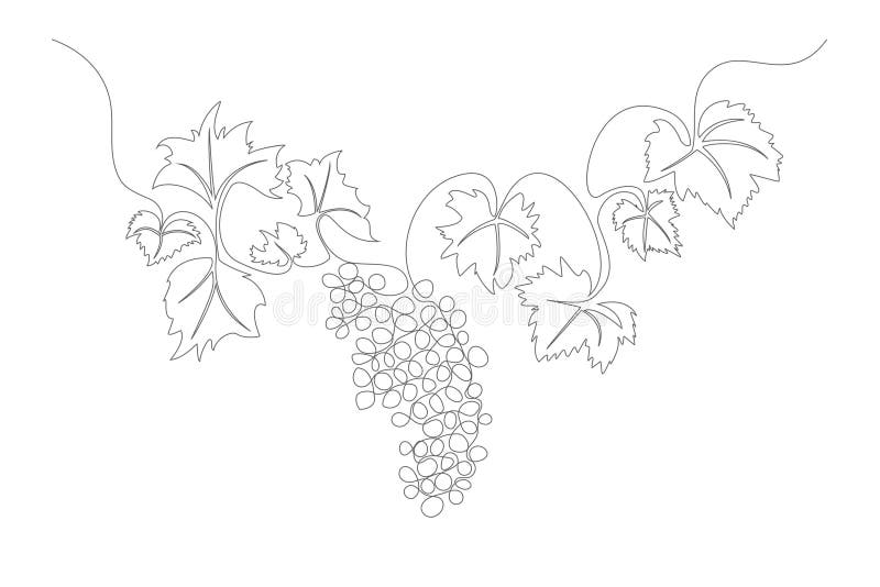 Bunch of Grapes One Continuous Line Drawing Sign Emblem. Vector Stock ...