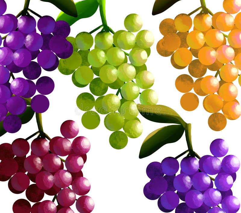 Bunch of Grapes Pattern Illustration Stock Illustration - Illustration ...
