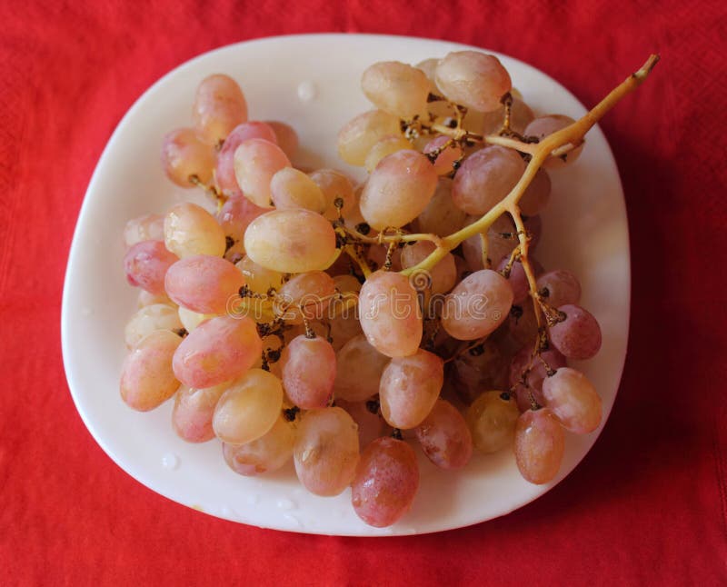 Bunch of Grapes on a Red Plate Stock Photo - Image of light, still ...