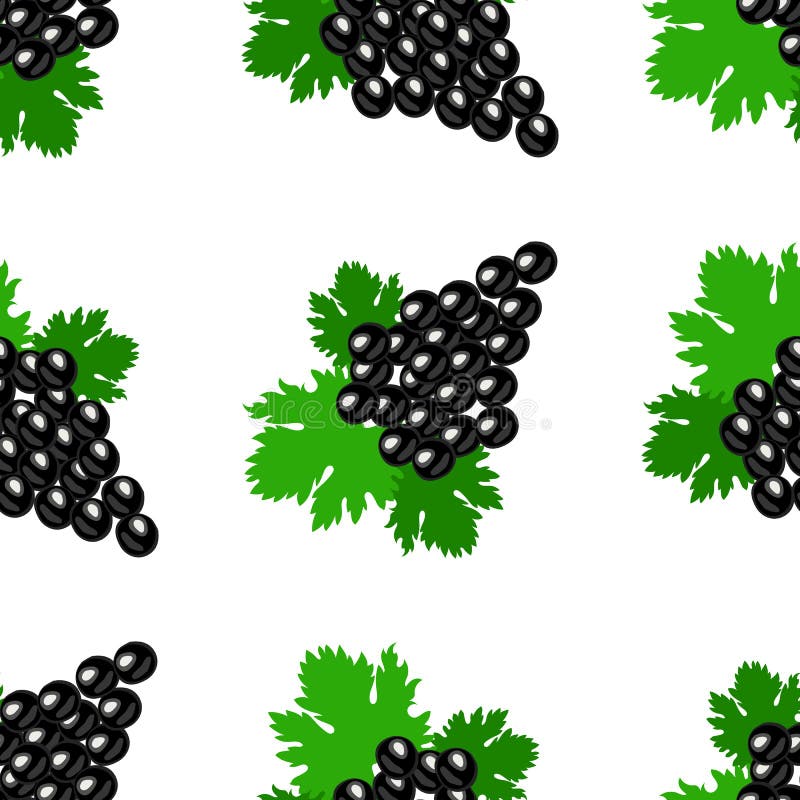 Bunch of Grapes. Seamless Pattern. Stock Illustration - Illustration of ...