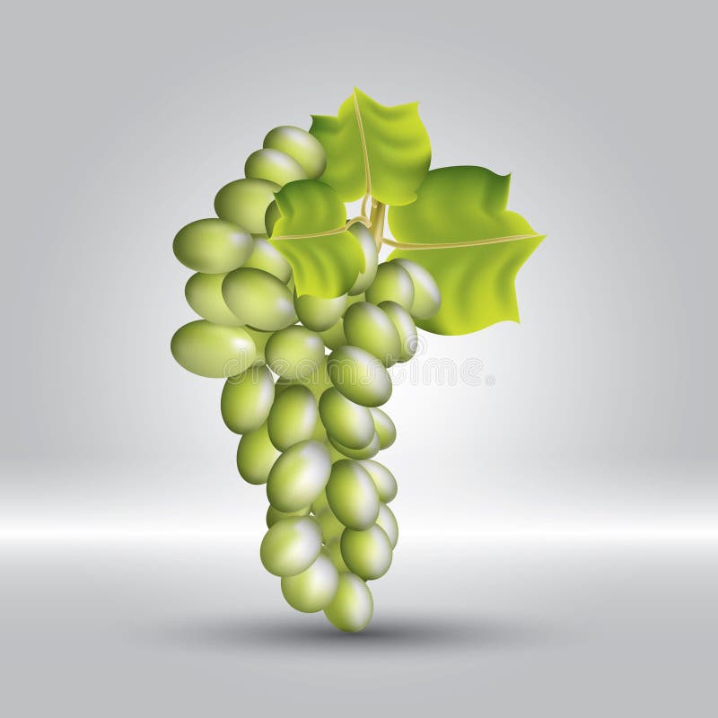 Bunch of Grapes. Vector Illustration Decorative Background Design Stock ...