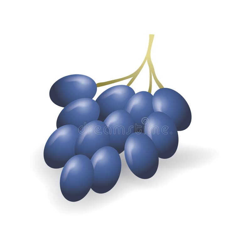 Bunch of Grapes. Vector Illustration Decorative Design Stock Vector ...