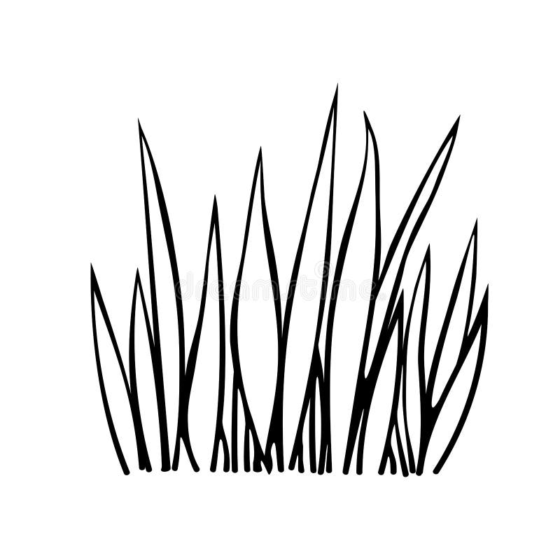 Grass Clump White Background Stock Illustrations – 242 Grass Clump ...