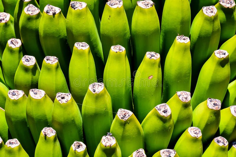 A Bunch of Green Bananas with Brown Spots Stock Image - Image of green ...