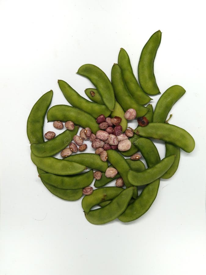 A Bunch of Green Beans with Seeds on Top of Them. Stock Image - Image ...