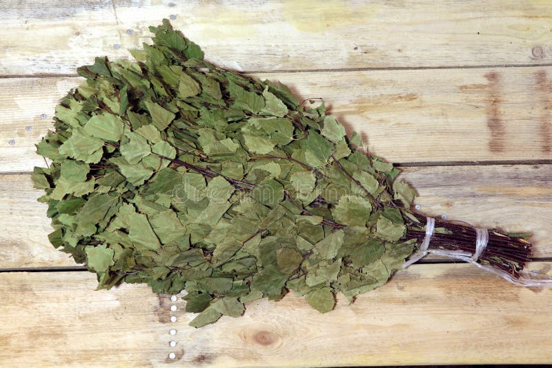 Bunch of Green Birch Twigs on a Wooden Background. Birch Twigs Stock ...