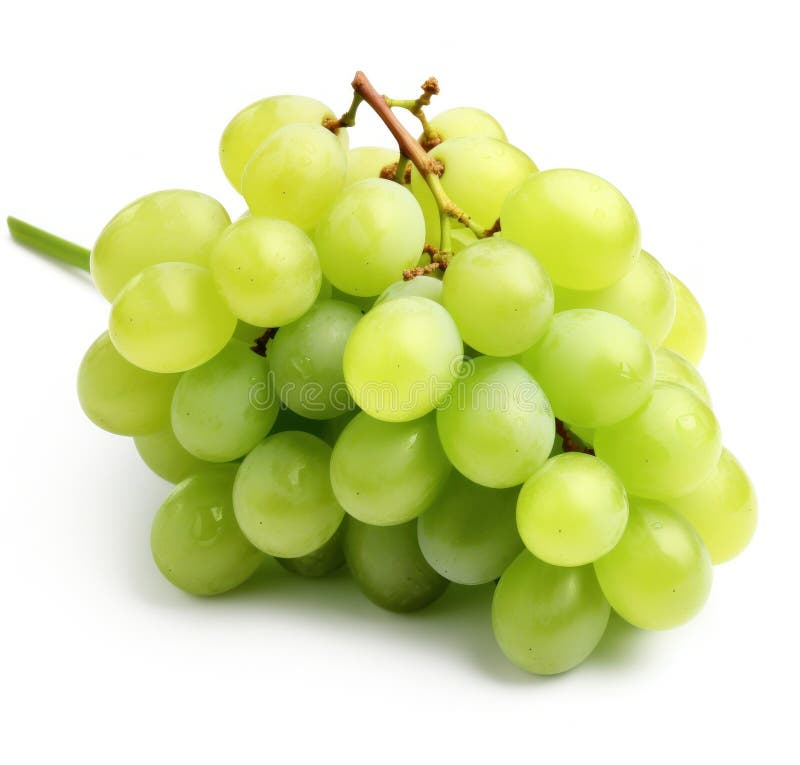 A bunch of green grapes stock illustration. Illustration of vineyard ...