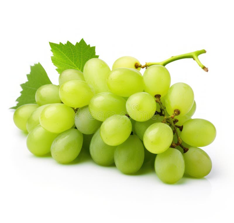 A bunch of green grapes stock illustration. Illustration of juicy ...