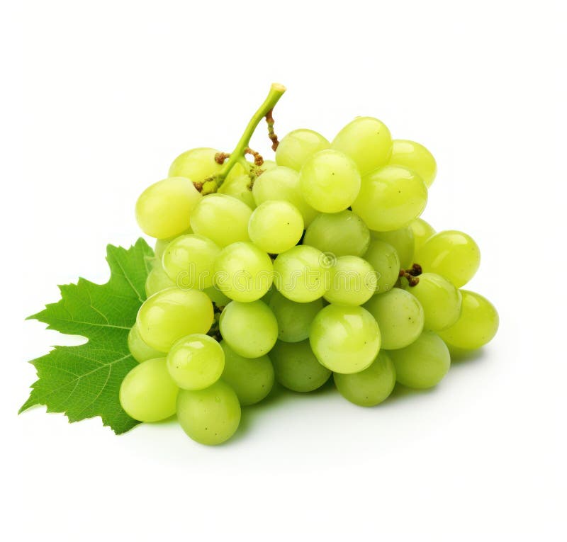 A Bunch of Green Grapes with a Leaf Stock Illustration - Illustration ...