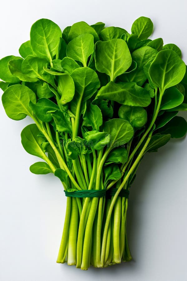 A Bunch of Green Leafy Vegetables Tied Up on a White Surface Stock ...