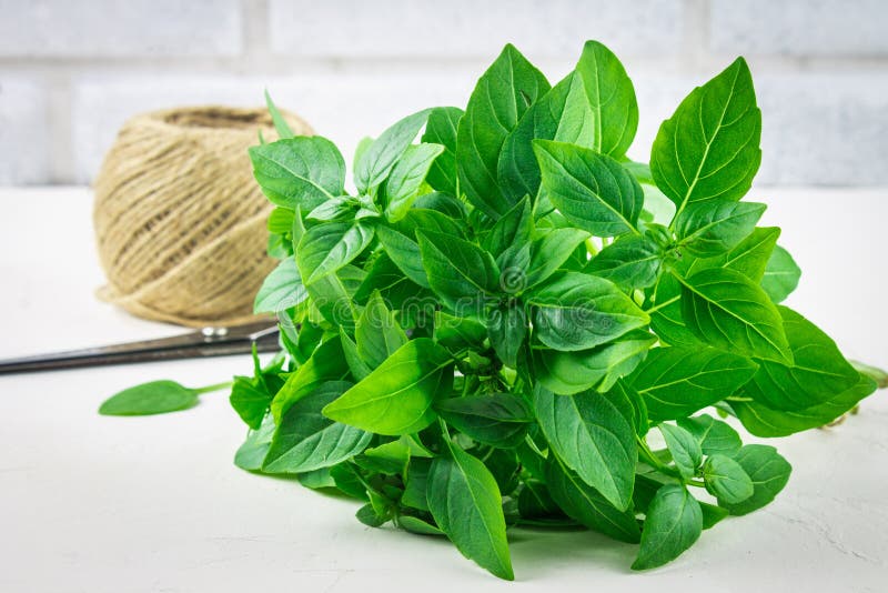 Basil and Lemon Spritz Two Glasses of Lemonade with Basil Leaves on a ...