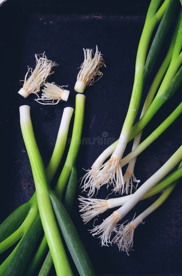 Bunch of green onions stock image. Image of root, white - 62597597