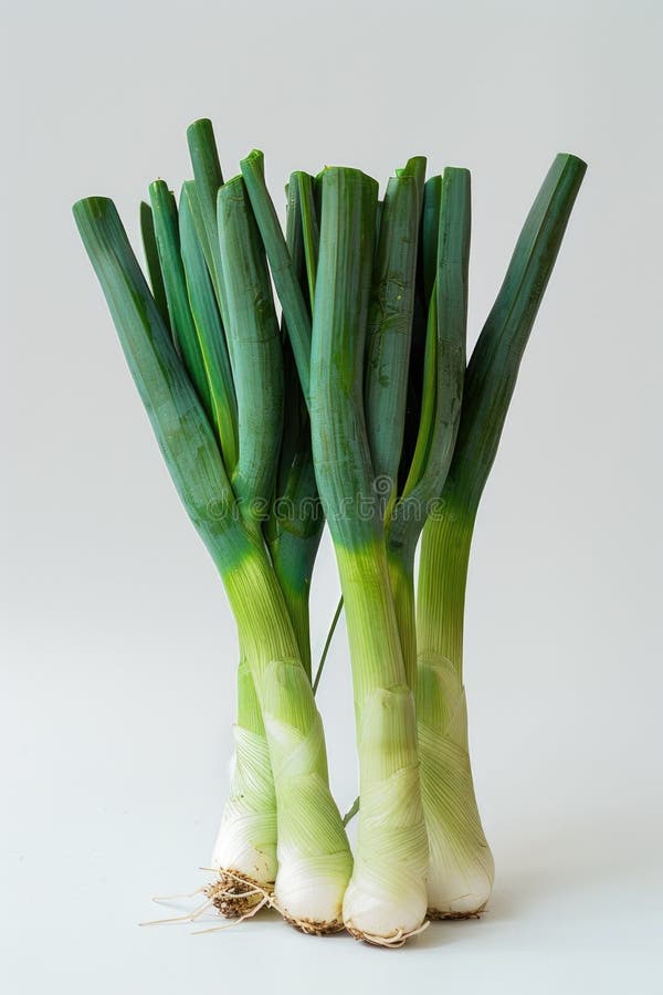 Bunch of Green Scallions stock image. Image of plant - 371761135