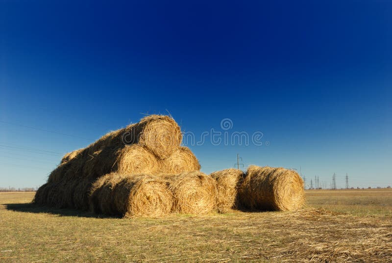 Bunch of hay stock photo. Image of crop, barbed, farm - 27992492