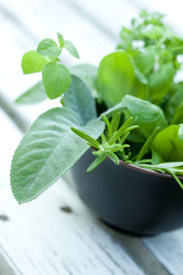 Dutch landscape stock image. Image of netherlands, canal - 2738047