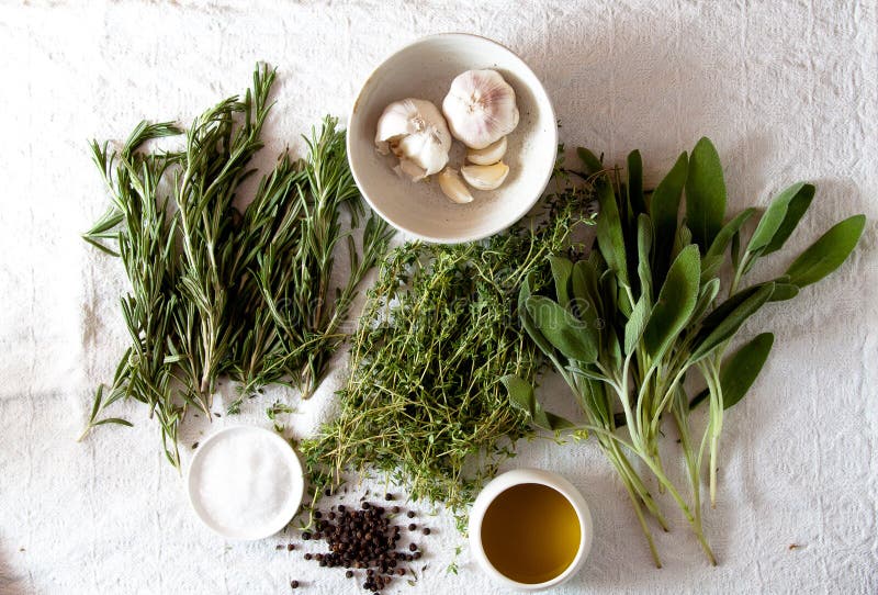 Bunch of herbs for cooking stock photo. Image of olive - 28196304