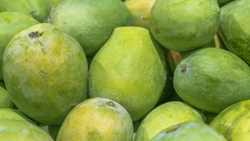 A Bunch of Indian Rajapuri Mango Stock Photo - Image of mamidi, pulpy ...