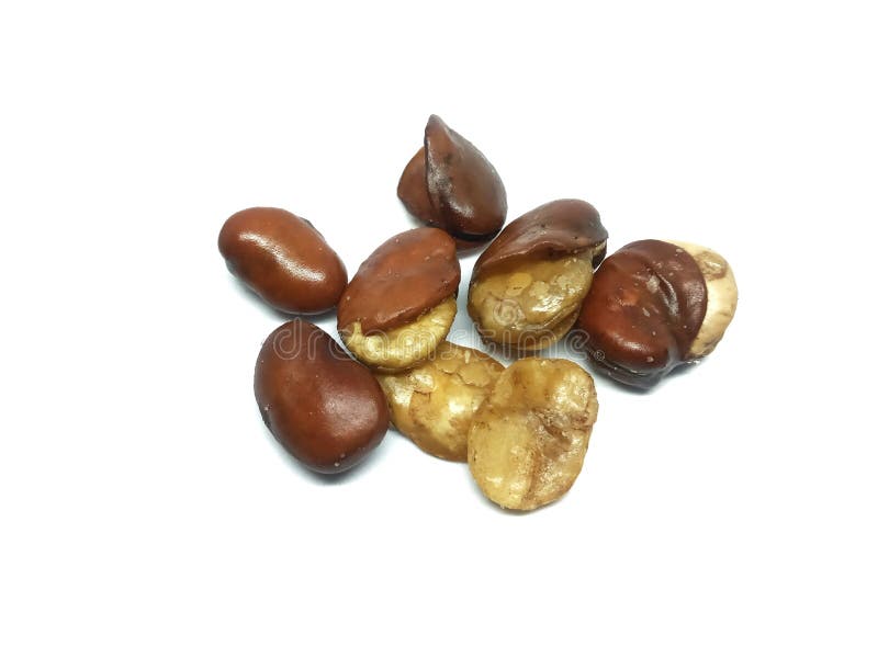 Kacang Koro Stock Photos - Free & Royalty-Free Stock Photos from Dreamstime