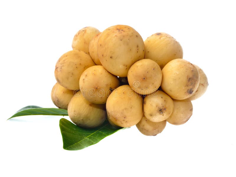 Bunch of Lanzones Fruit Isolated on White Background Stock Image ...
