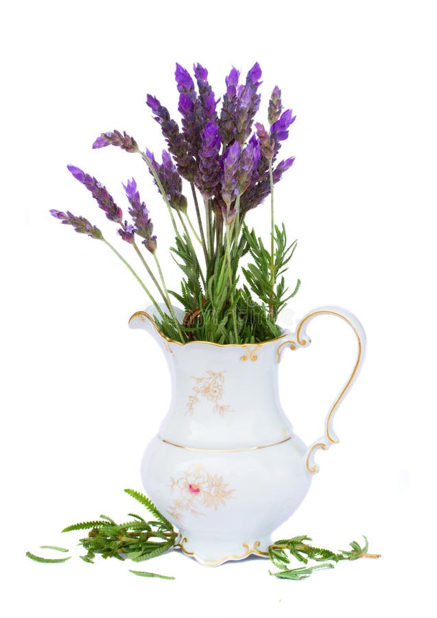Fragrant Bouquet of Lavender Flowers in Glass Vase Stock Image - Image ...