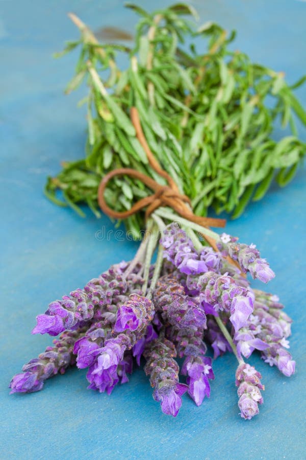 Bunch of Lavender Flowers on a Table Stock Photo - Image of herb ...