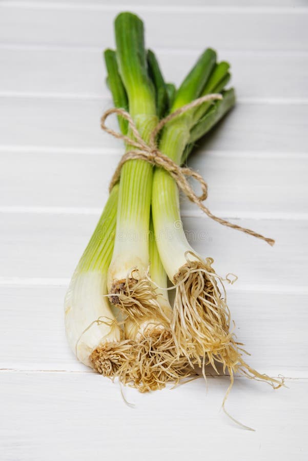 Bunch of leek stock photo. Image of bright, color, green - 29957134