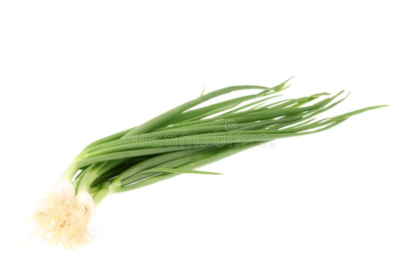 Bunch of leeks stock image. Image of mediterranean, isolated - 4421337