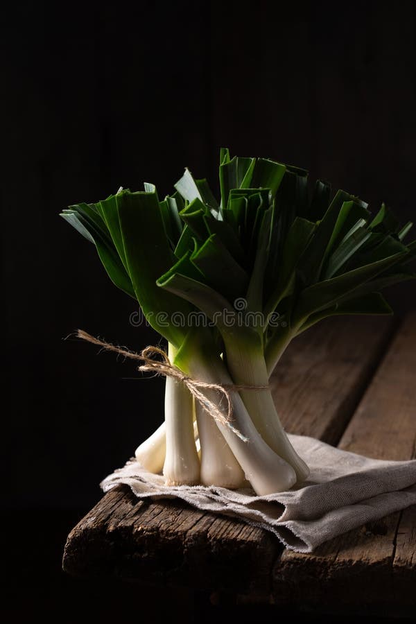 On the Corner Stands the Flower Stock Photo - Image of branches ...