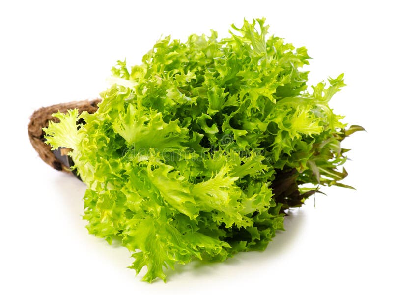 Bunch of lettuce leaves stock photo. Image of light - 118928358