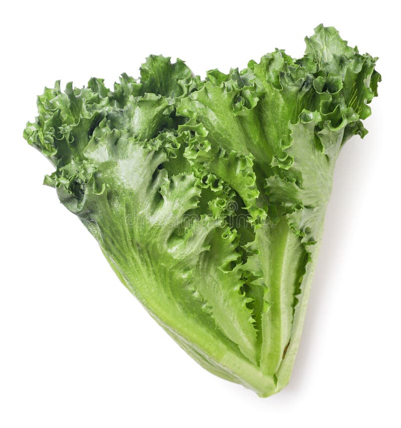 Bunch of Lettuce Leaves Close-up on a White Background. Top View Stock ...