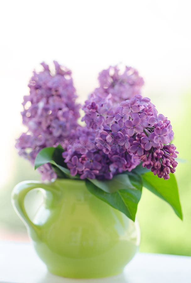 Bunch of lilac flowers stock photo. Image of lilac, beautiful - 31582636