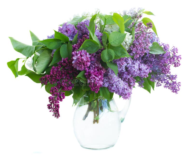 Bunch of Lilac in Watering Can Stock Image - Image of easter, copyspace ...