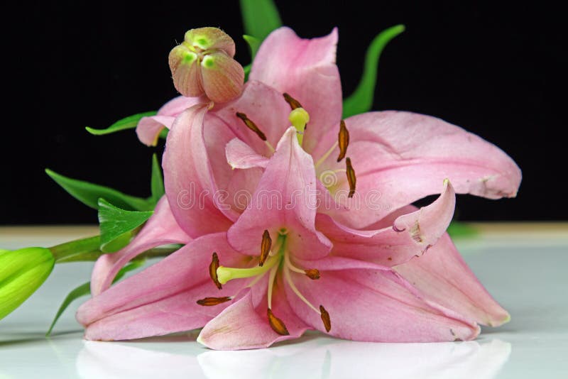 A bunch of Lilies stock photo. Image of spring, blossom - 64410556