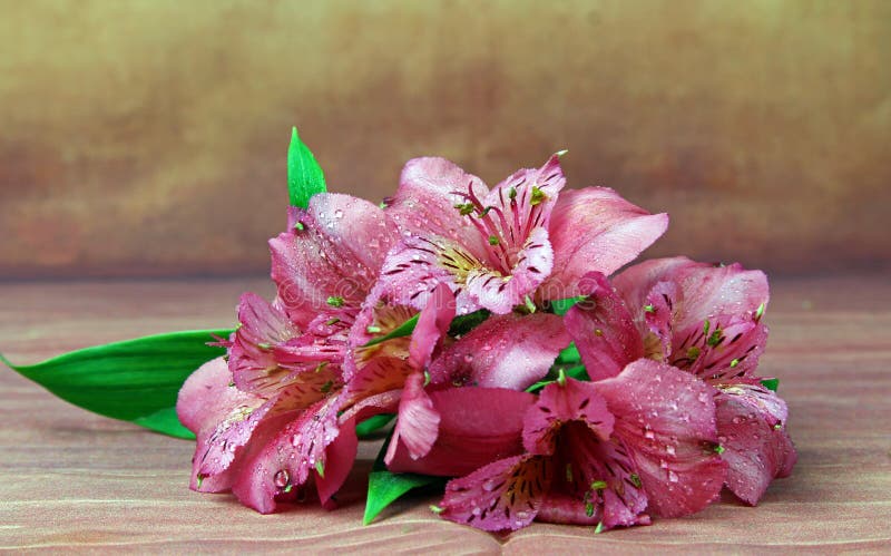 A bunch of Lilies stock photo. Image of fragrance, plant - 64695286