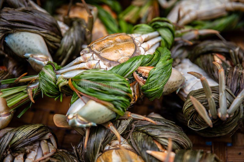 Bunch of live crabs stock image. Image of farmed, street - 282357271