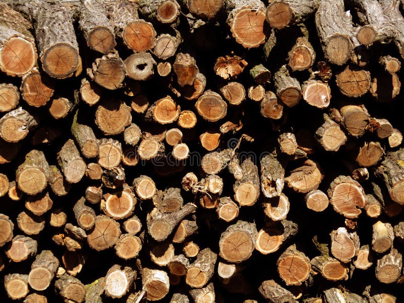 A Bunch Of Logs. Firewood Texture. Brown Wooden Lumber Background. Old ...