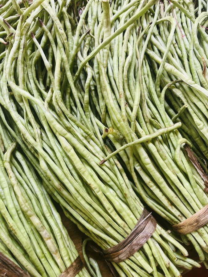 Bunch of Long beans stock photo. Image of asparagus - 260712164