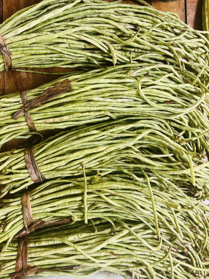 Bunch of Long beans stock image. Image of chilly, bean - 260712171